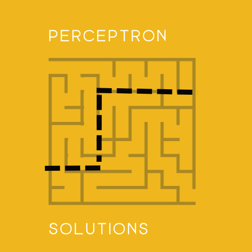 Perceptron Solutions: An AI modeling company.